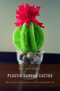 One Hour Crafts: Plastic Canvas Cactus Home Decor - The Byas Life