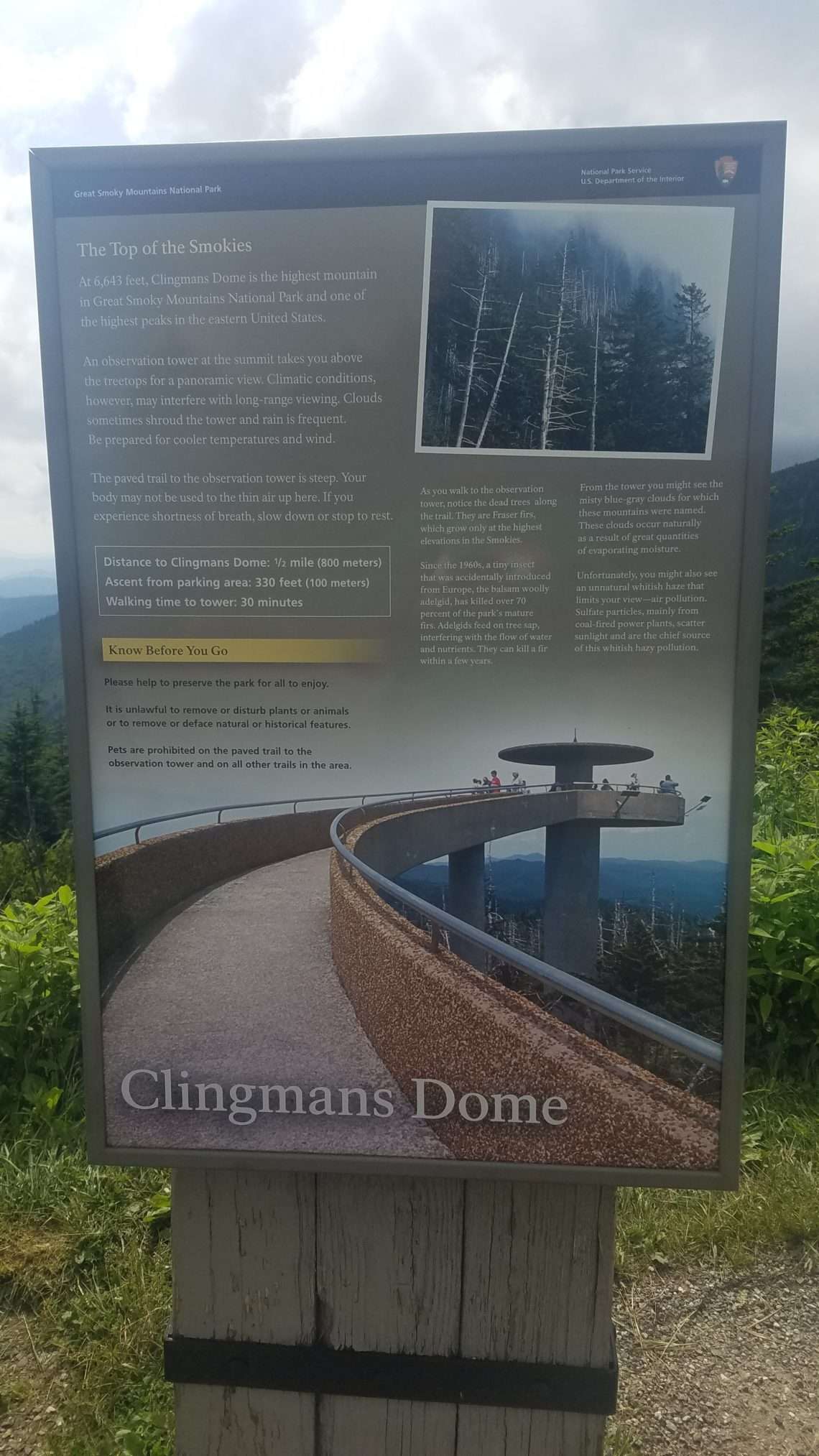 Clingmans Dome: Everything You Need To Know Before You Go - The Byas Life
