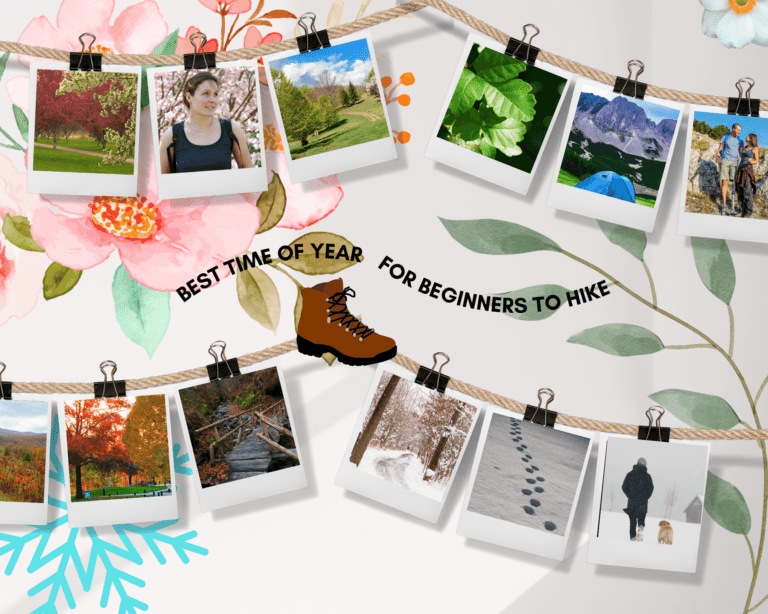 Exploring the Great Smoky Mountains: Unforgettable Short Hiking Trails ...