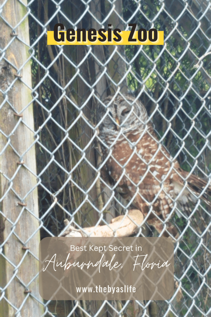 Discover Genesis Zoo: A True Hidden Gem in Aurburndale, Florida - The ...